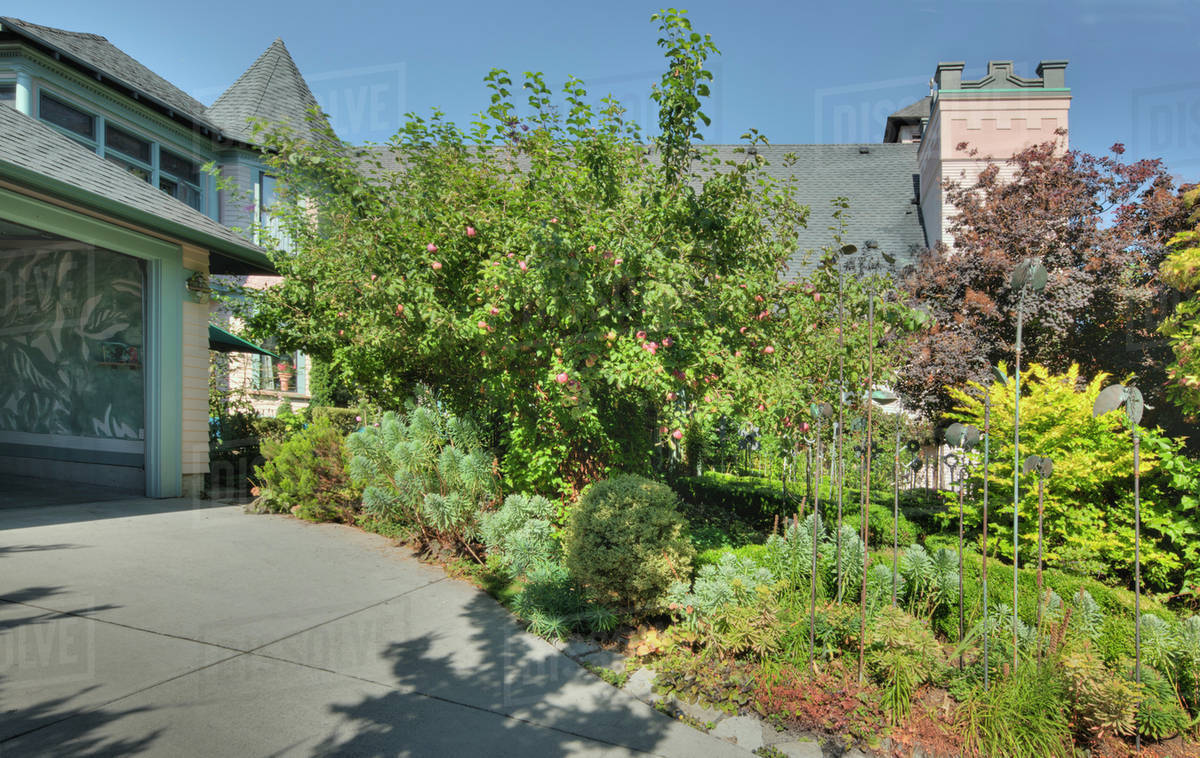 Garden flanking driveway - Stock Photo - Dissolve