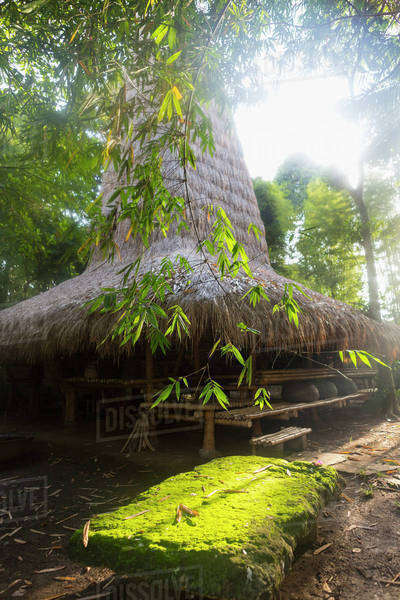 Trees around thatched Balinese hut, Ubud, Bali, Indonesia - Royalty ...