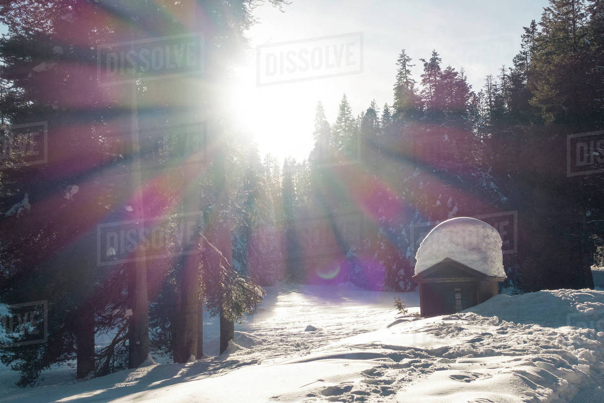 Sunbeams on snow covered house in forest - Royalty-free Stock Photo ...