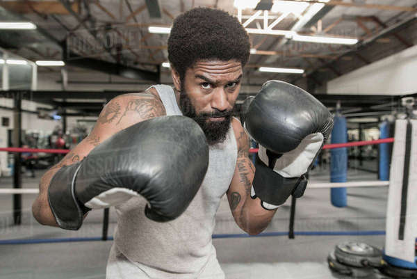 Black man posing in boxing ring - Stock Photo - Dissolve