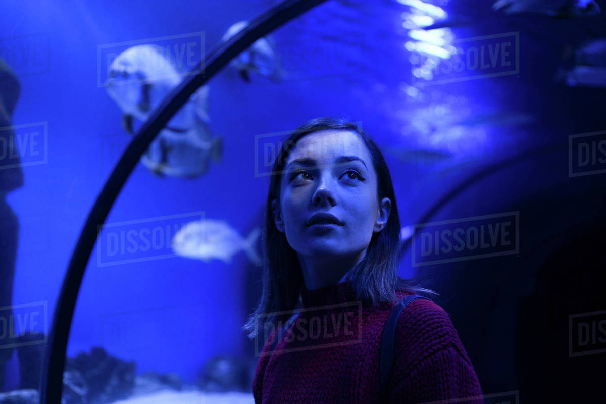 Caucasian woman admiring fish in aquarium - Stock Photo - Dissolve
