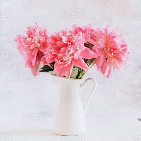 Pink flowers in vase - Stock Photo - Dissolve