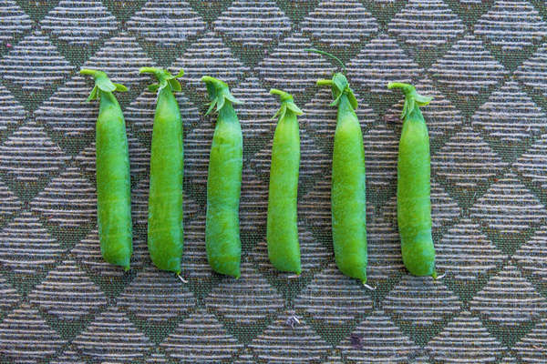 Row of pea pods - Royalty-free Stock Photo | Dissolve