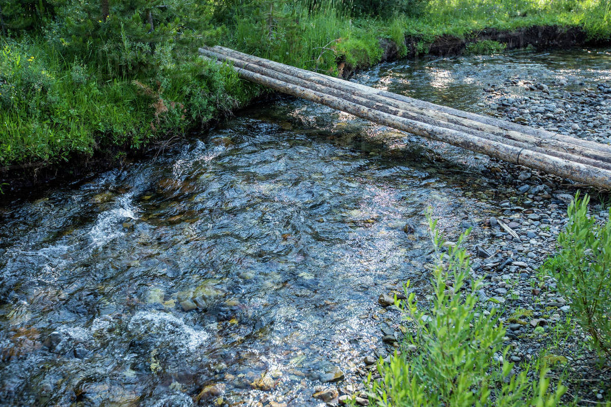 Logs forming bridge crossing river - Royalty-free Stock Photo | Dissolve