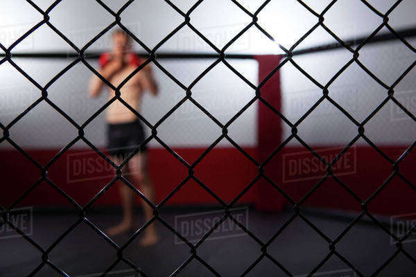 Caucasian cage fighter standing in cage - Royalty-free Stock Photo ...