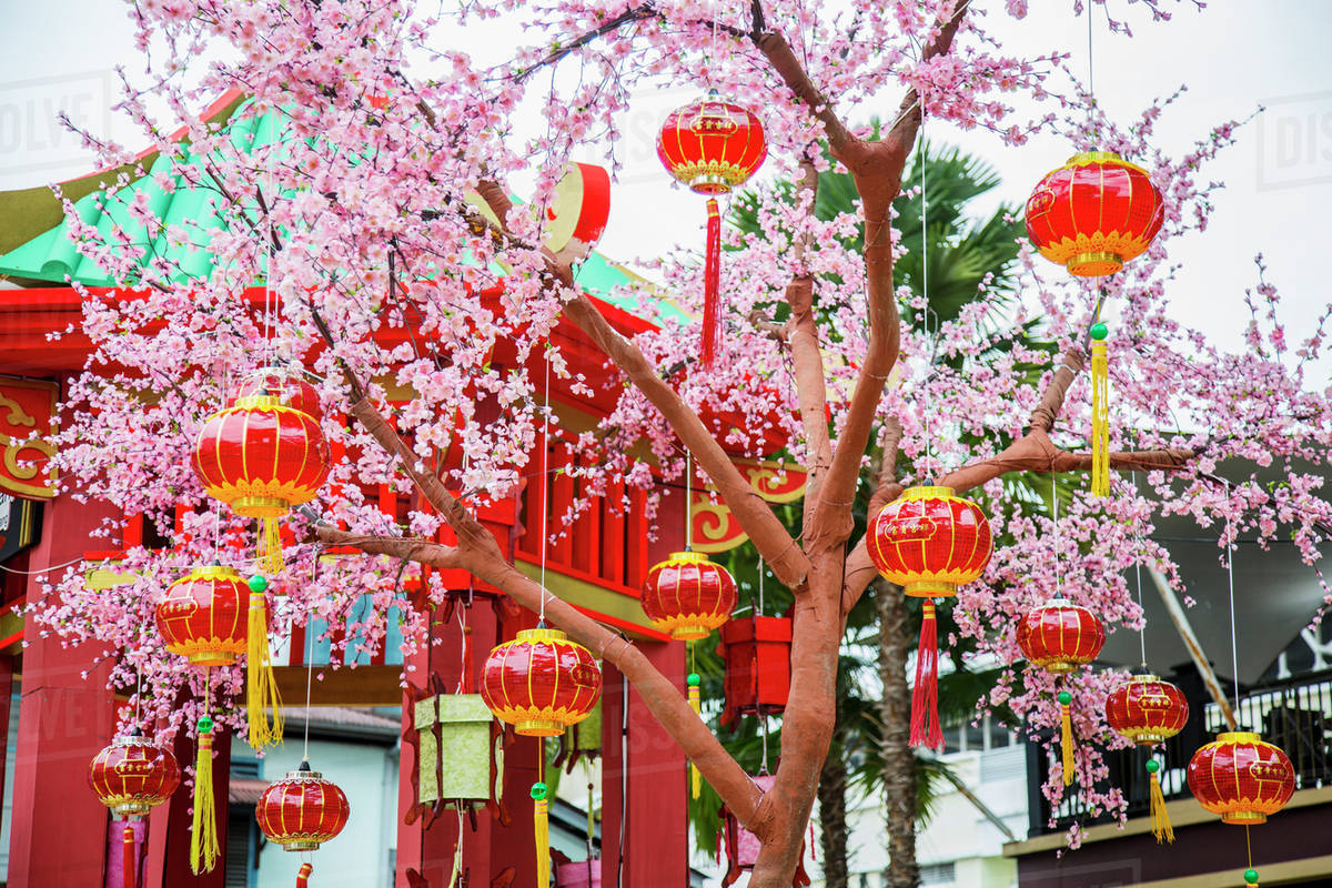Chinese Trees Decorated Our Christmas Tree For Chinese New Year,