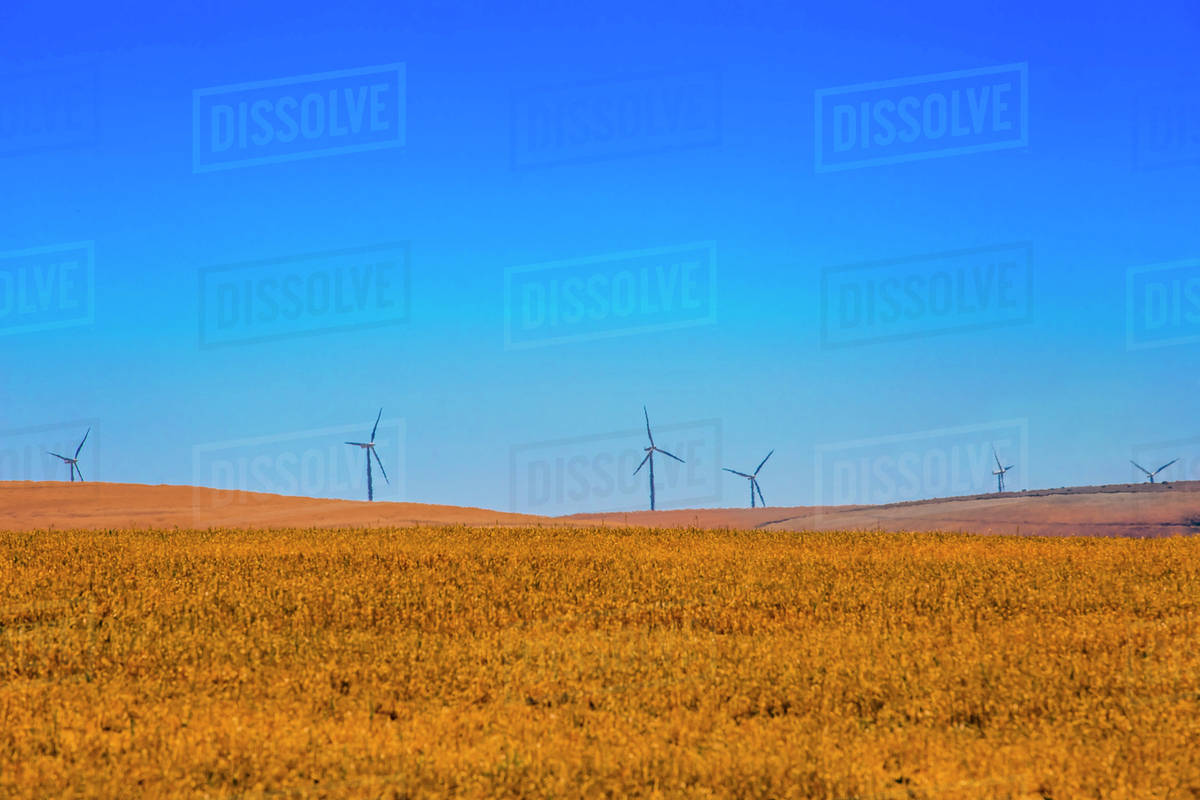 Wind turbines in rural landscape - Royalty-free Stock Photo | Dissolve
