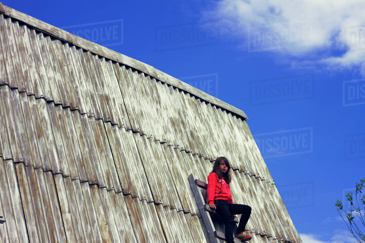 Low angle view of Caucasian girl on ladder on tin roof - Royalty-free ...