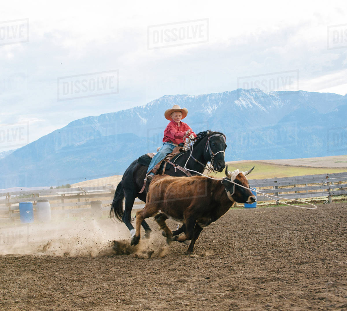 Caucasian boy chasing cattle at rodeo - Stock Photo - Dissolve
