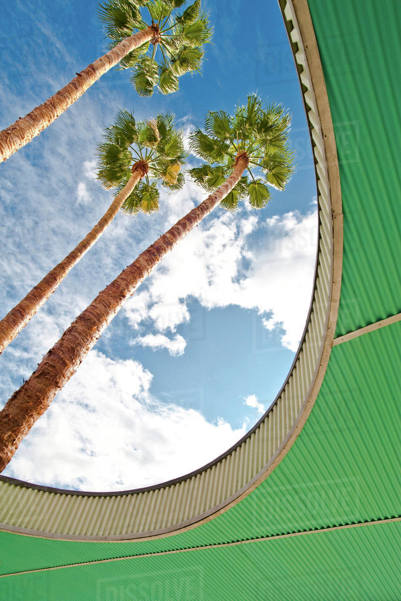 Palm Trees Through Architecture - Royalty-free Stock Photo | Dissolve