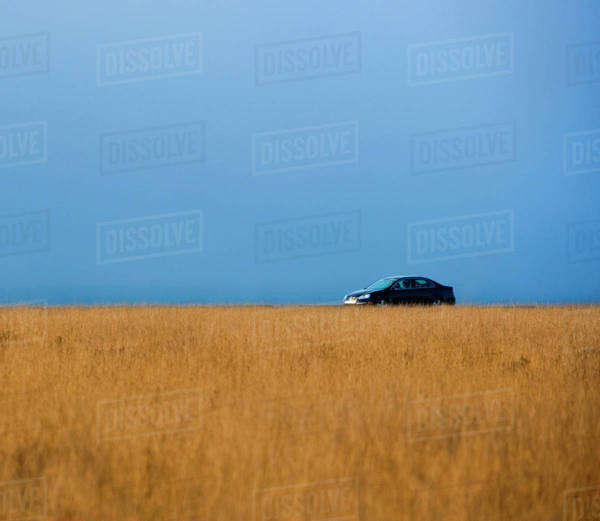 Car driving along rural field - Stock Photo - Dissolve