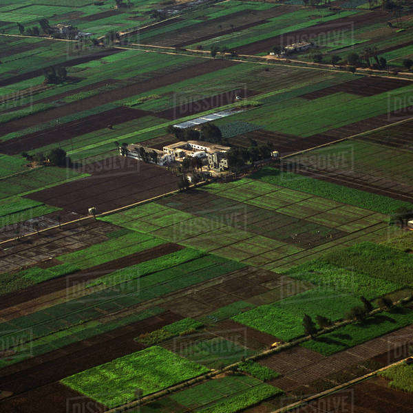 Agricultural Fields in the Nile Valley - Royalty-free Stock Photo ...