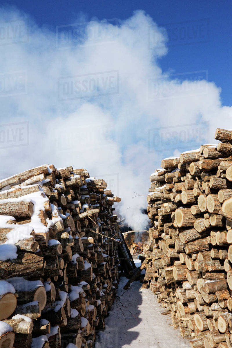 Stacks of Wood - Royalty-free Stock Photo | Dissolve