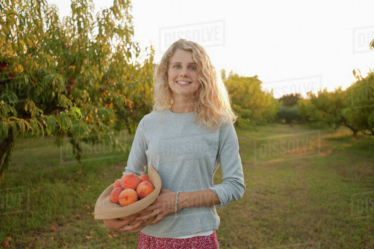Caucasian woman picking fruit in orchard - Royalty-free Stock Photo ...