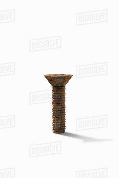 Close up of rusting screw - Royalty-free Stock Photo | Dissolve