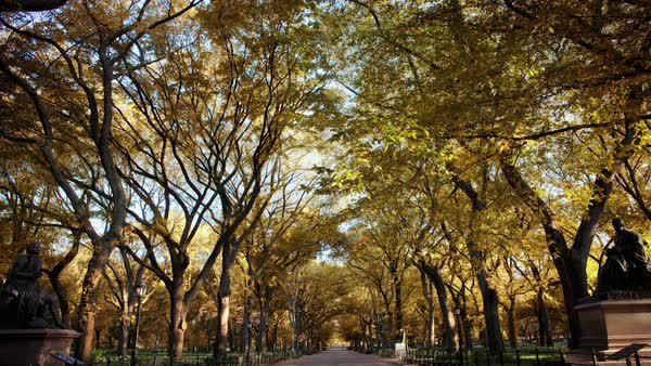 Gorgeous timelapse showing the changing of the seasons from summer to ...
