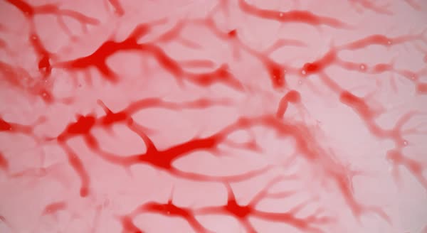 Red Liquid Blood Medical Background abstract - Stock Video Footage ...