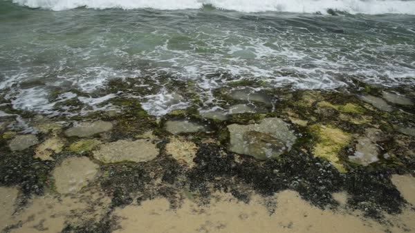 Mettams Pool with low tide, a limestone bay safe for snorkelling place ...