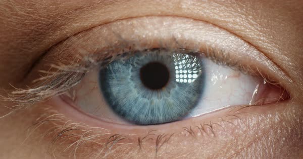 Beautiful macro eye opening blinking close up - 4K Royalty-free Stock ...