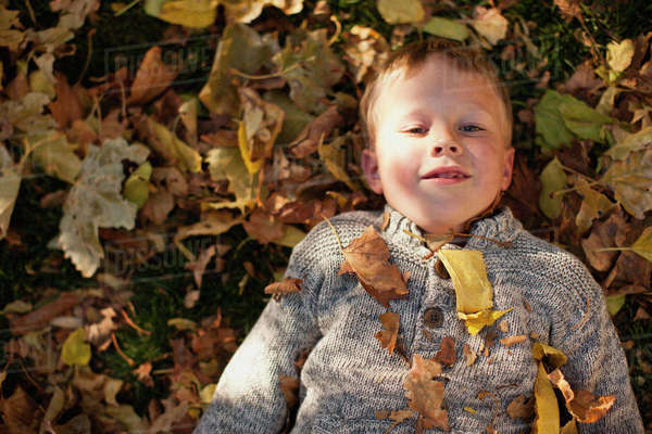 Little boy lying on fallen autumn leaves in the backyard. - Stock Photo ...