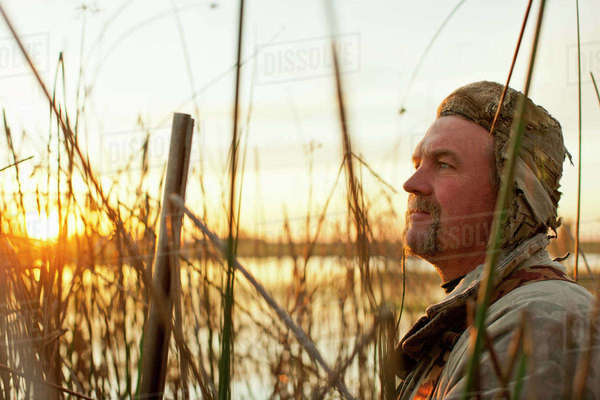 Mid-adult man hiding in reeds near a lake while duck hunting. - Royalty ...