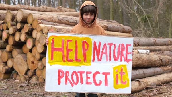 Poster Help nature protect it in the hands of a boy near stacked felled ...