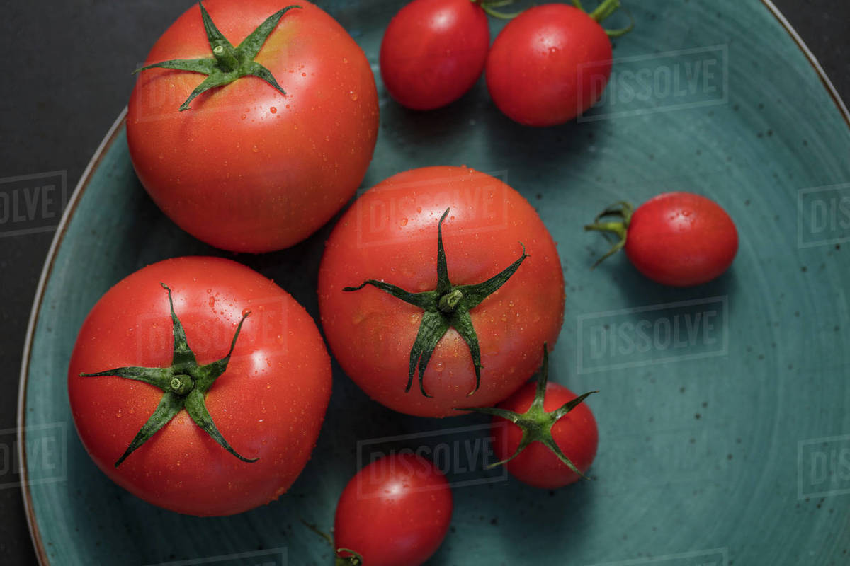 Closeup of ripe tomatoes placed in a plate. Big and small sized ...