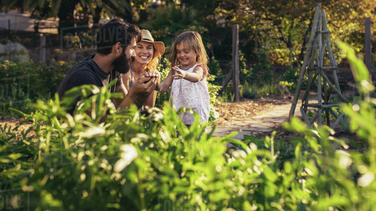 Happy parents playing with their daughter at farm. Beautiful farmer ...