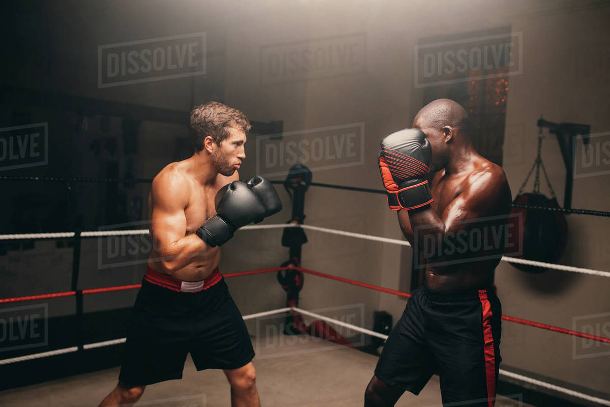 Two boxers with their fists up in guard stance while engaged in a ...