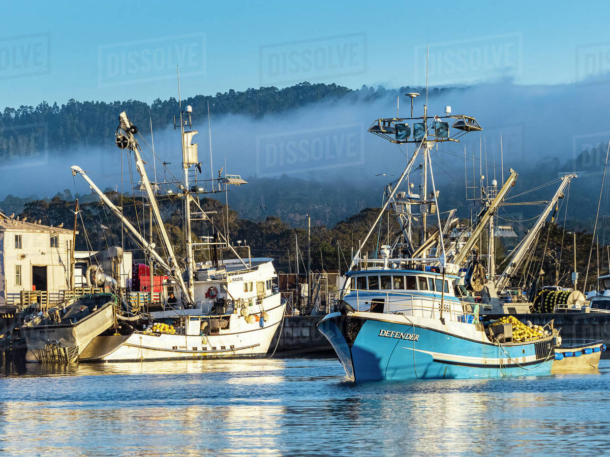 Not a true Refuge, Squid fishing boats in Monterey Bay, Monterey Bay ...