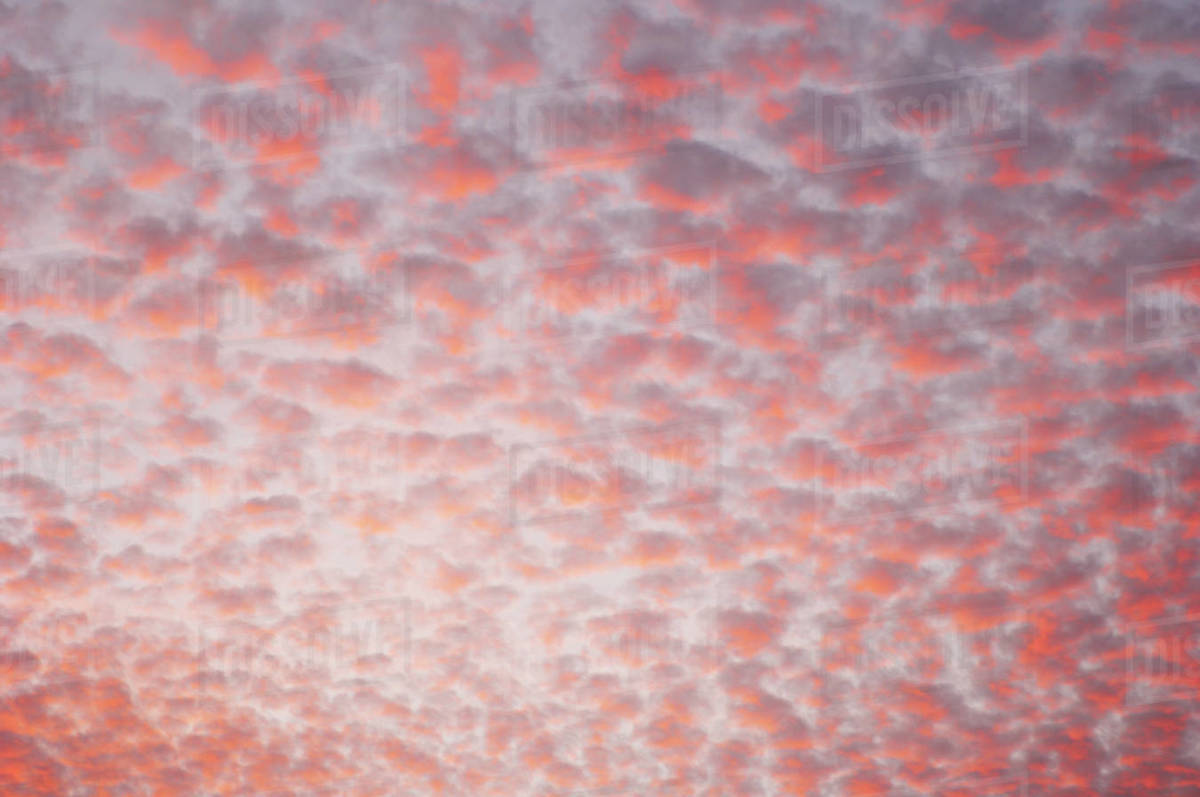 Small pink clouds in evening sky - Royalty-free Stock Photo | Dissolve