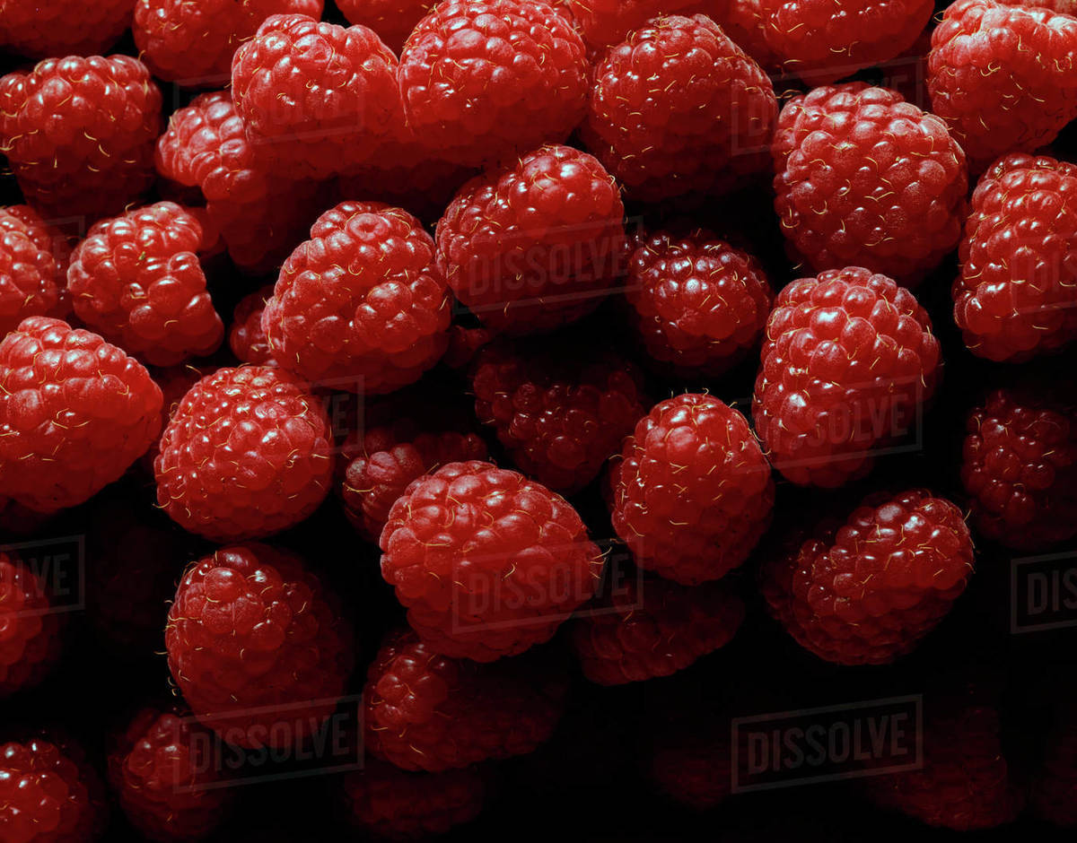 Close up of raspberries - Stock Photo - Dissolve