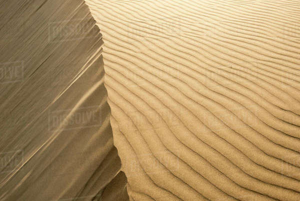 Shadows on ripples on sand dunes, Isla Magdalena, Baja California Sur ...