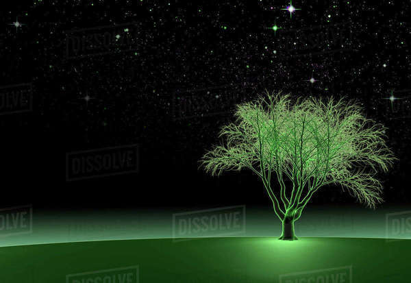 Green Oak Tree at Night II, Digitally Generated Image by Hank Grebe ...