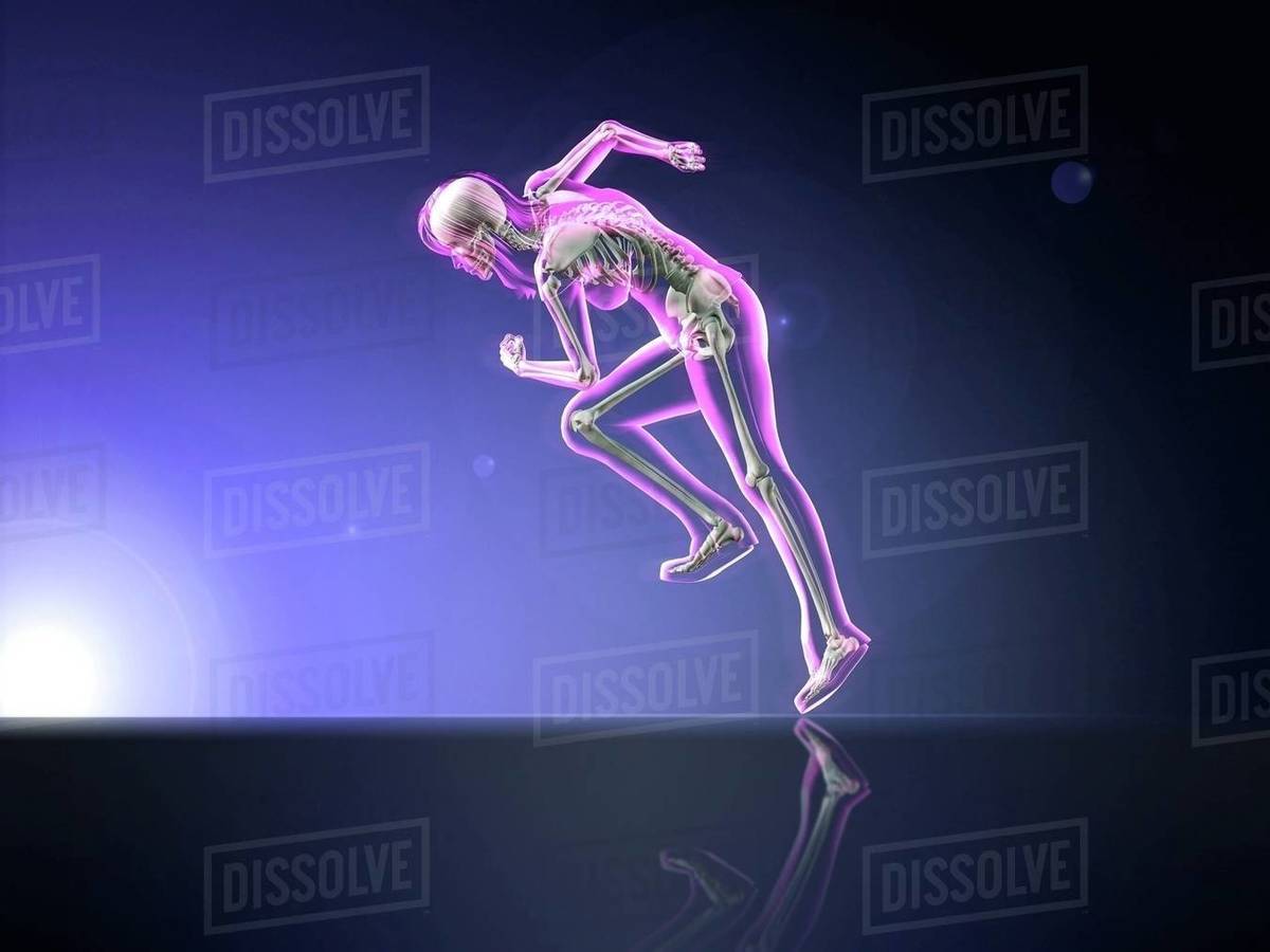 X Ray Skeleton Kiss Incredible Human X Ray Pictures Photoshop Graphics 626