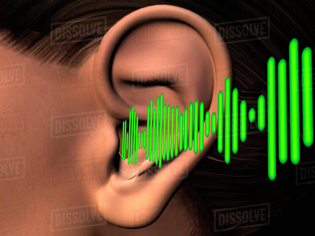 Close-up of a human ear listening to sound waves - Royalty-free Stock ...