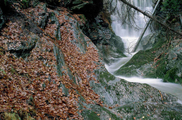 Water flowing through rocks, Czech Republic - Stock Photo - Dissolve