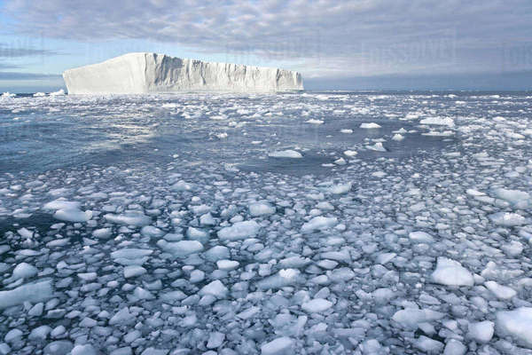 Ice floats floating in the sea, South Georgia Island, South Sandwich ...