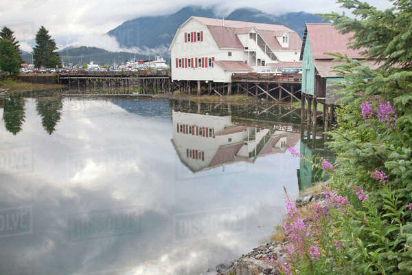 Reflection of a building in water, Sons Of Norway Hall, Petersburg ...