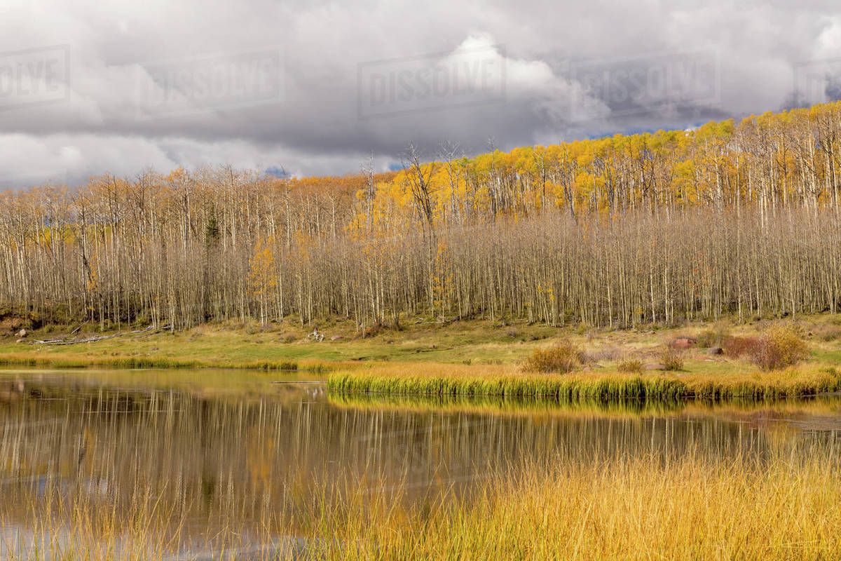 Utah, Dixie National Forest, Escalante Ranger District, Chriss Lake ...