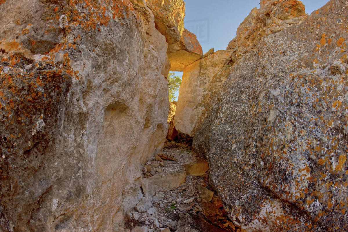 A crevice in a rock island just off the cliff line east of Desert View ...