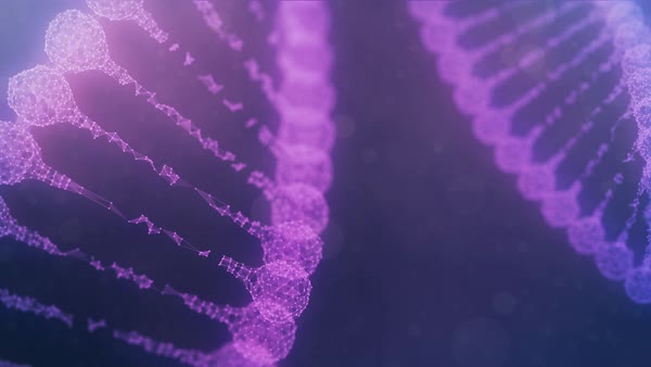 Seamless looping 3d animation of two rotating digital plexus DNA chains ...