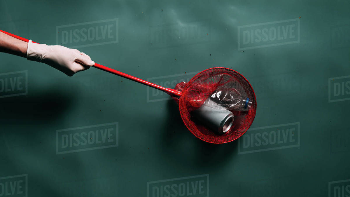 Cropped shot of person in latex glove with butterfly net cleaning water ...