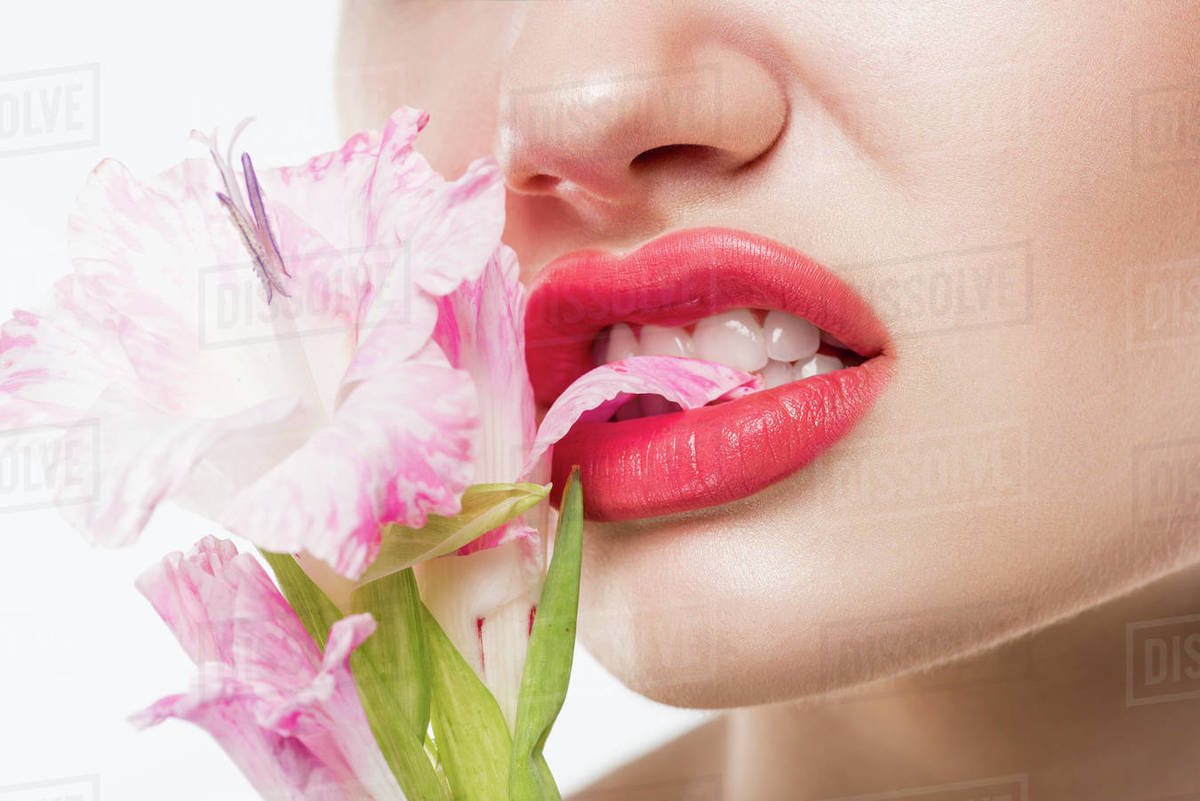 Partial view of girl biting pink flowers, isolated on white - Stock ...