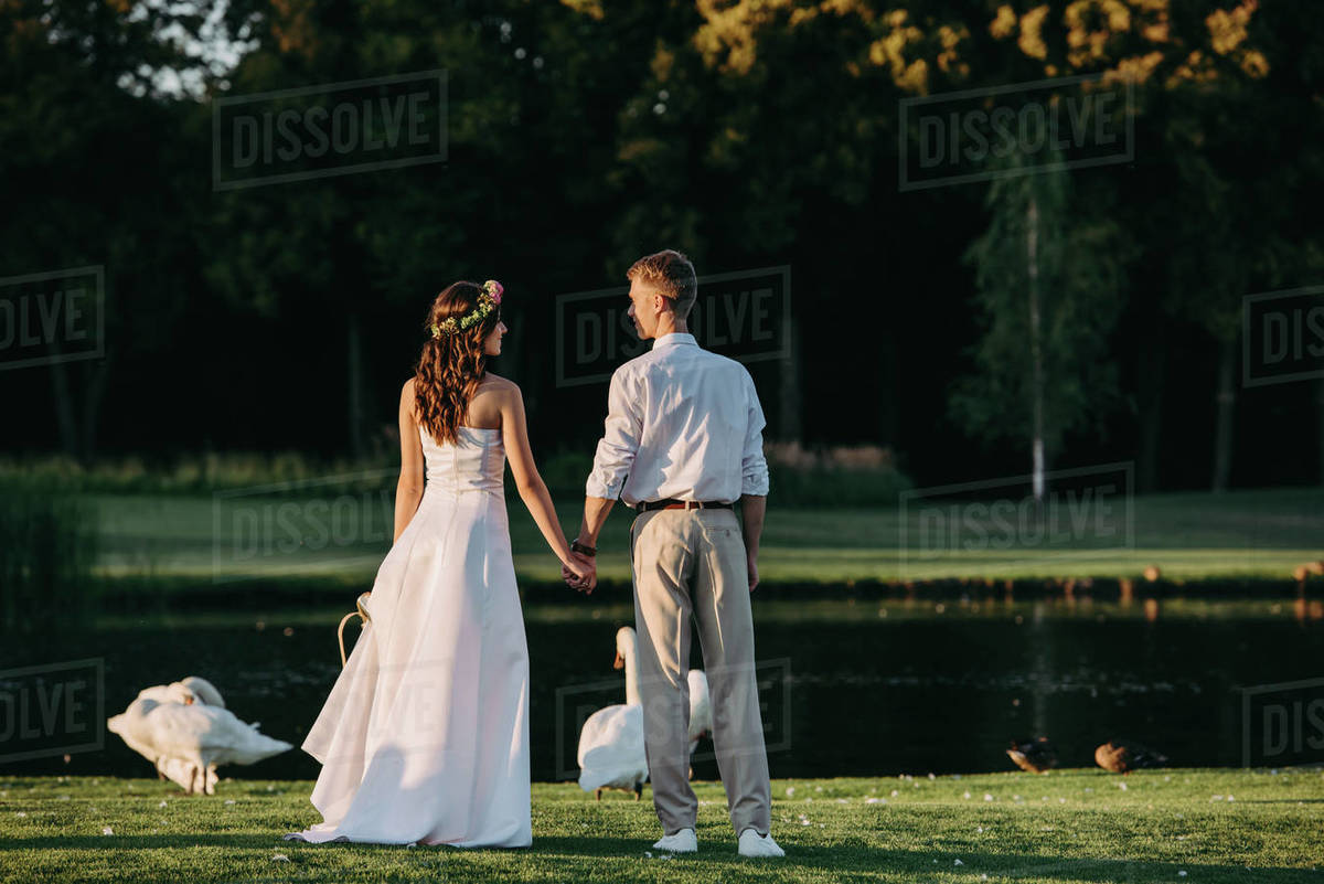 Back view of young wedding couple holding hands and standing on green ...