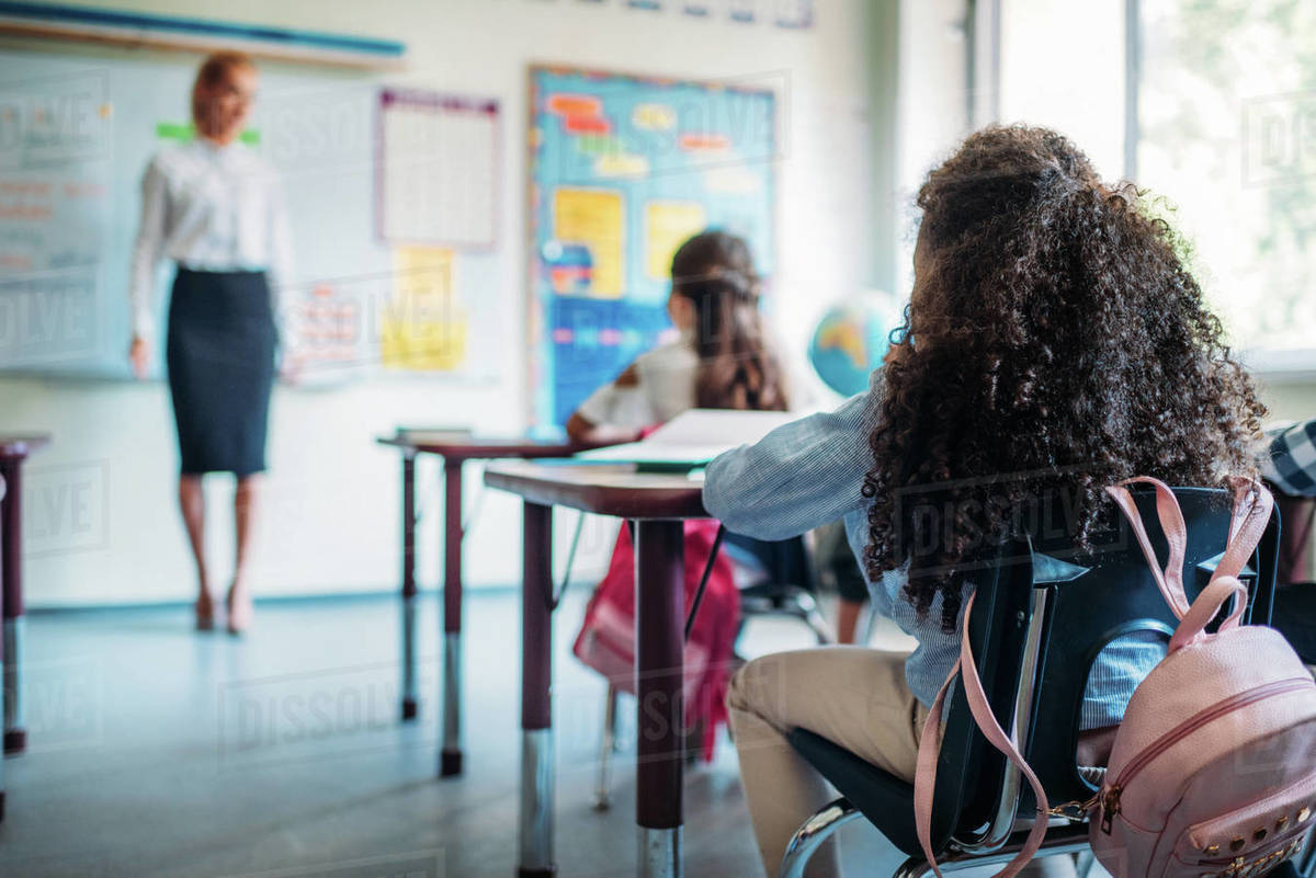 back view of pupils sitting on lesson in class and looking at teacher ...