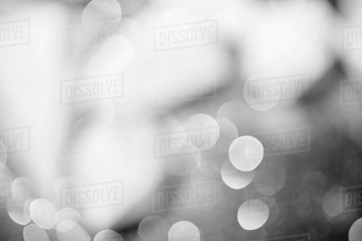 Silver shiny bokeh background for celebration - Stock Photo - Dissolve