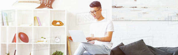 Panoramic view of smiling handsome Asian man using laptop on sofa in ...