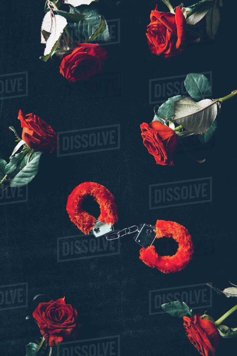 Top view of red fluffy handcuffs and beautiful roses on black - Royalty ...