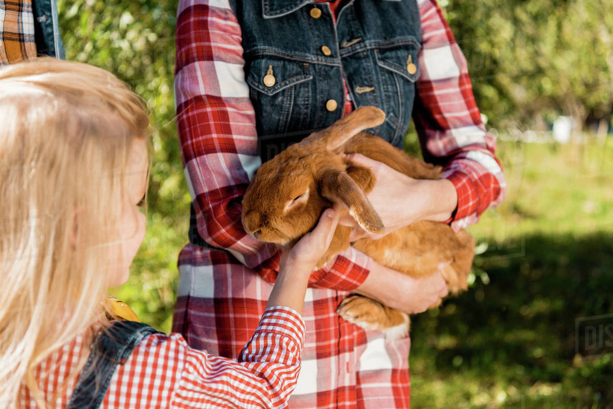 Cropped image of little kid touching brown bunny in hands of her mother ...